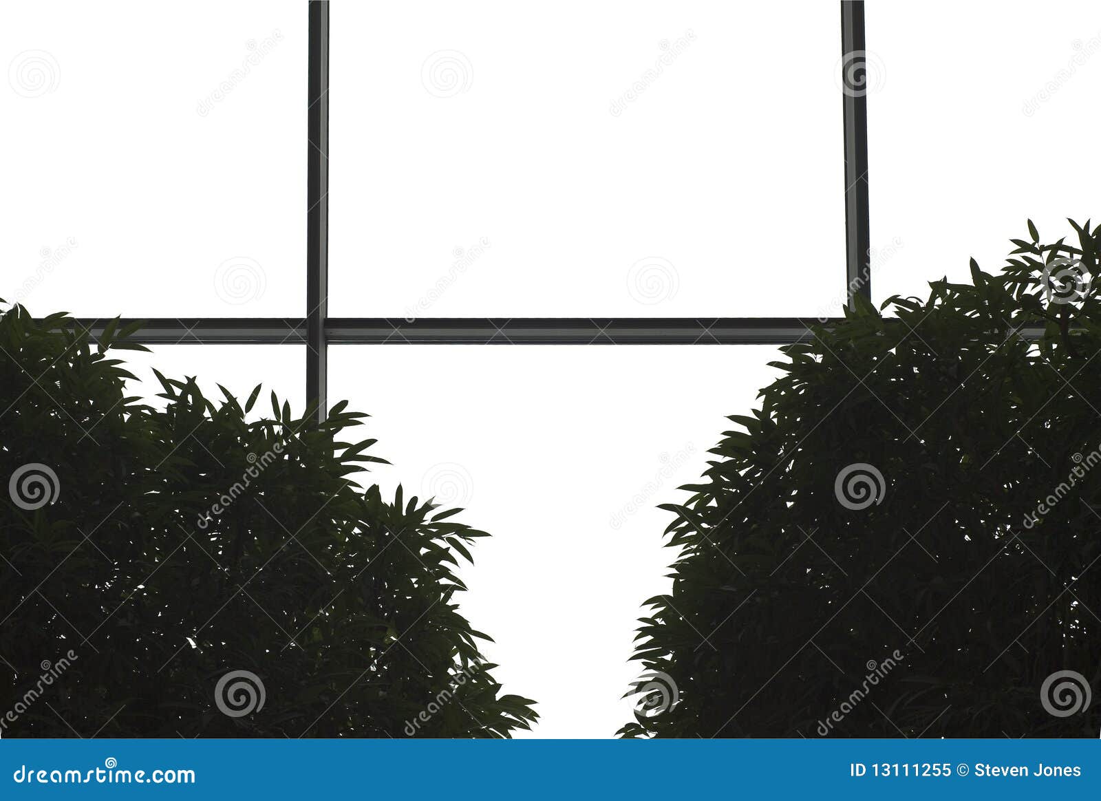 Tree Silhouette with Windows Stock Image - Image of plant, pattern ...