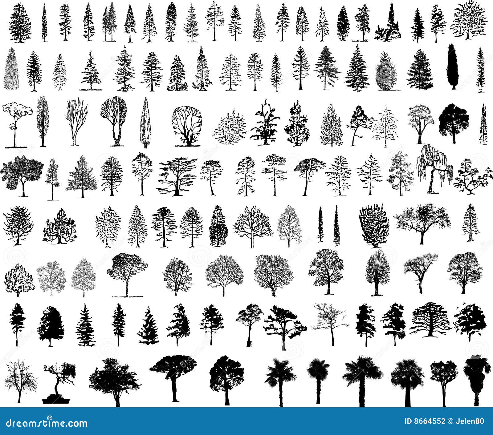 Tree silhouettes stock vector. Illustration of isolated - 8664552