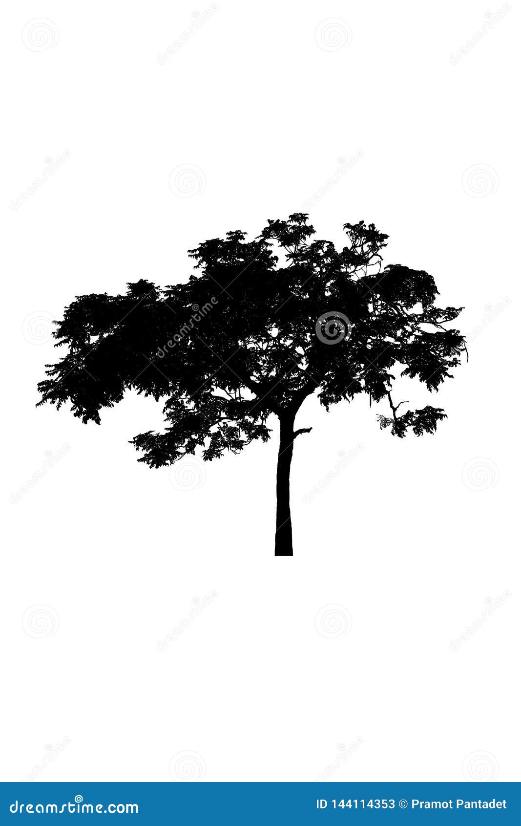 Tree Silhouettes Beautiful Isolated on White Background Stock ...