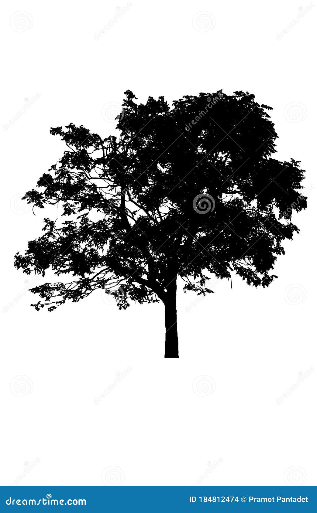 Tree Silhouettes Beautiful Isolated on White Background Stock Photo ...