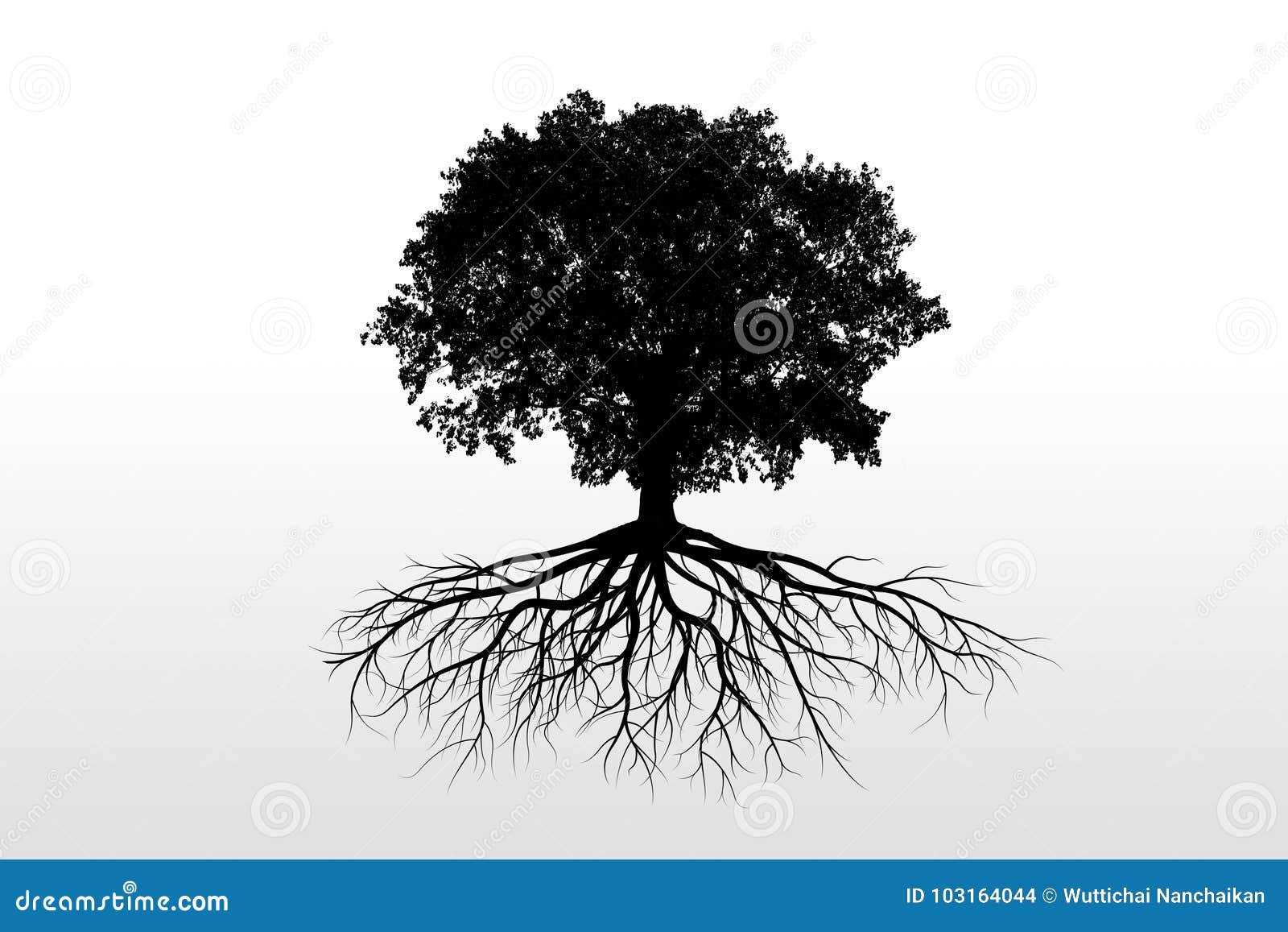 Tree Silhouette Roots