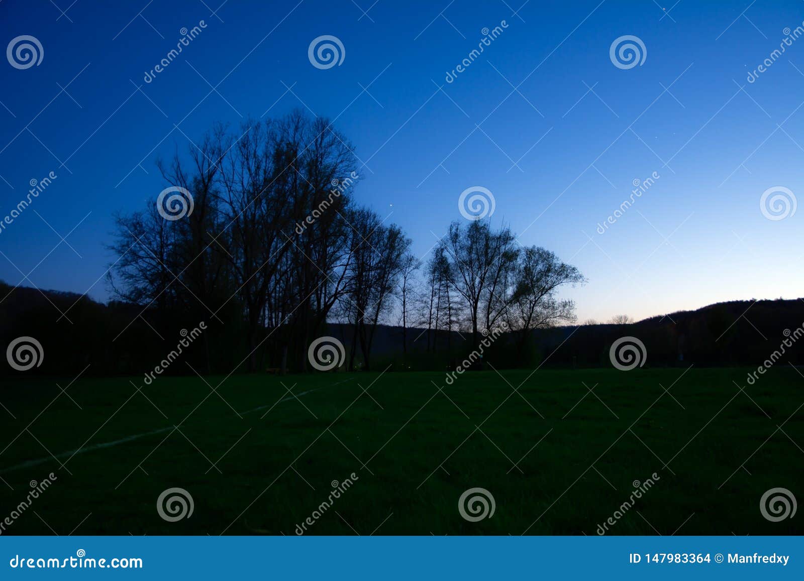 Tree Silhouettes during the Blue Hour Stock Photo - Image of silhouette ...