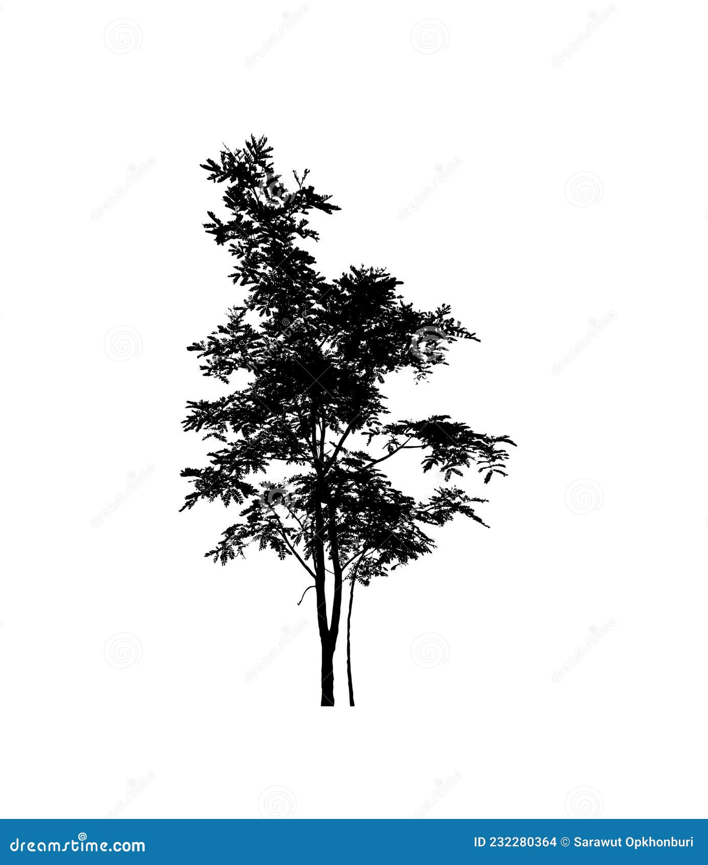 Tree Silhouettes Isolated on White Background . Stock Photo - Image of ...