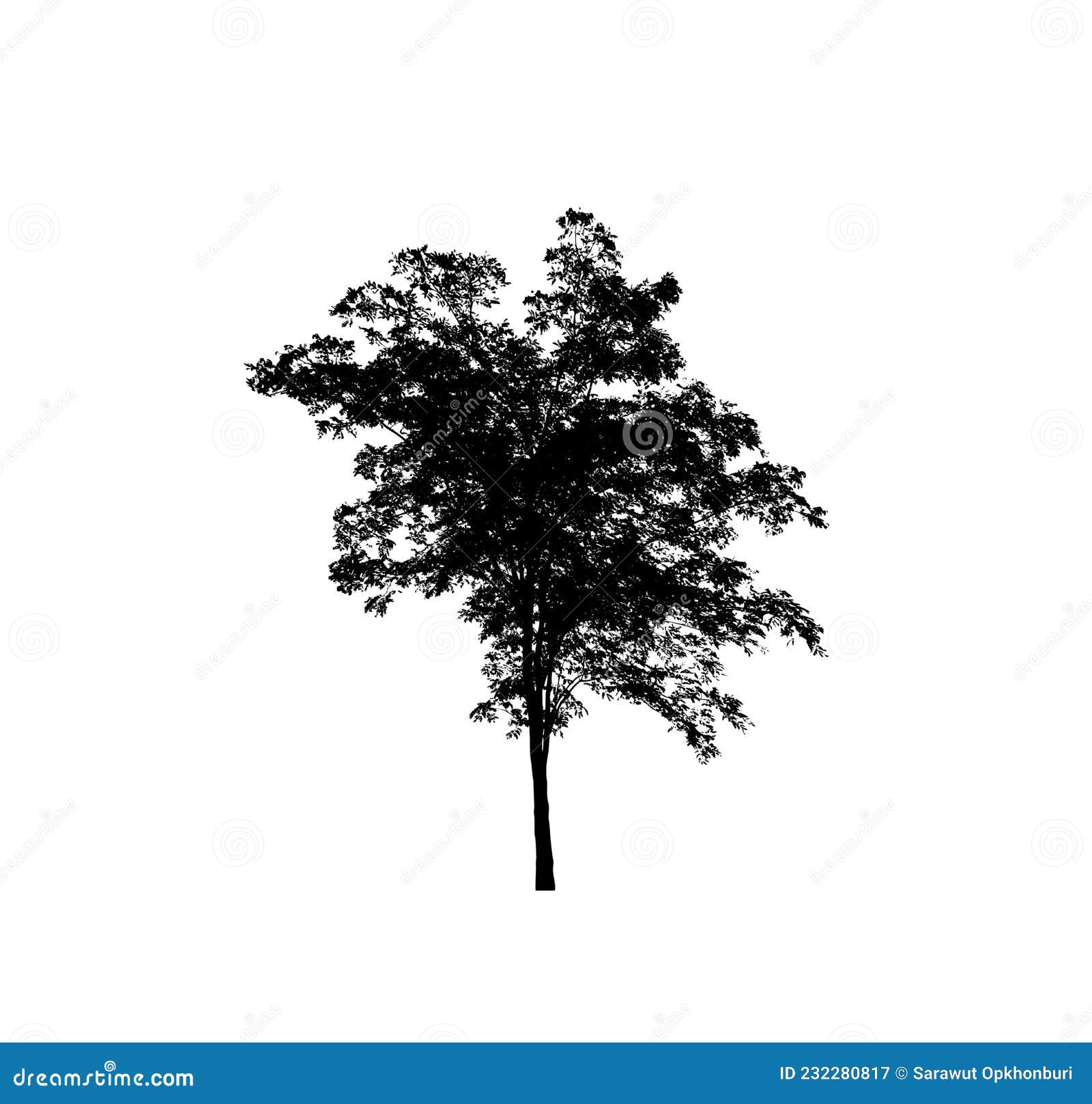 Tree Silhouettes Isolated on White Background . Stock Image - Image of ...