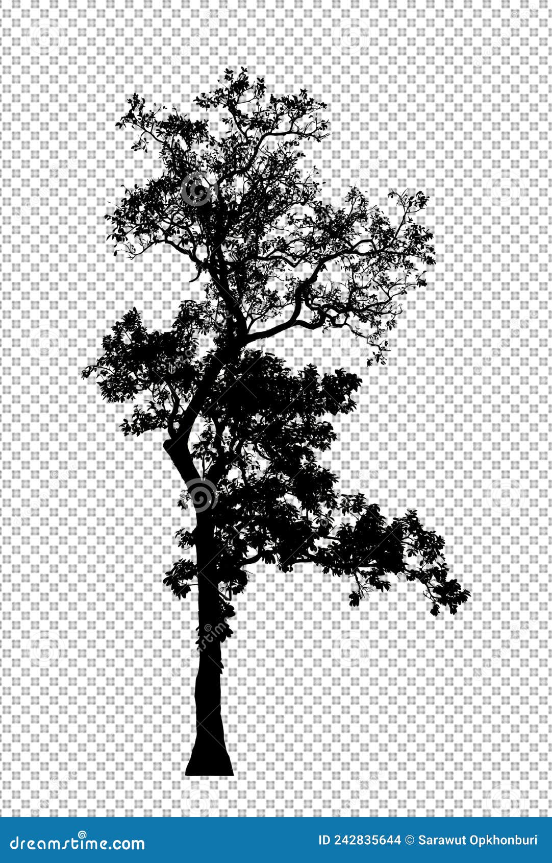 Tree Silhouettes Isolated on White Background . Stock Photo - Image of ...