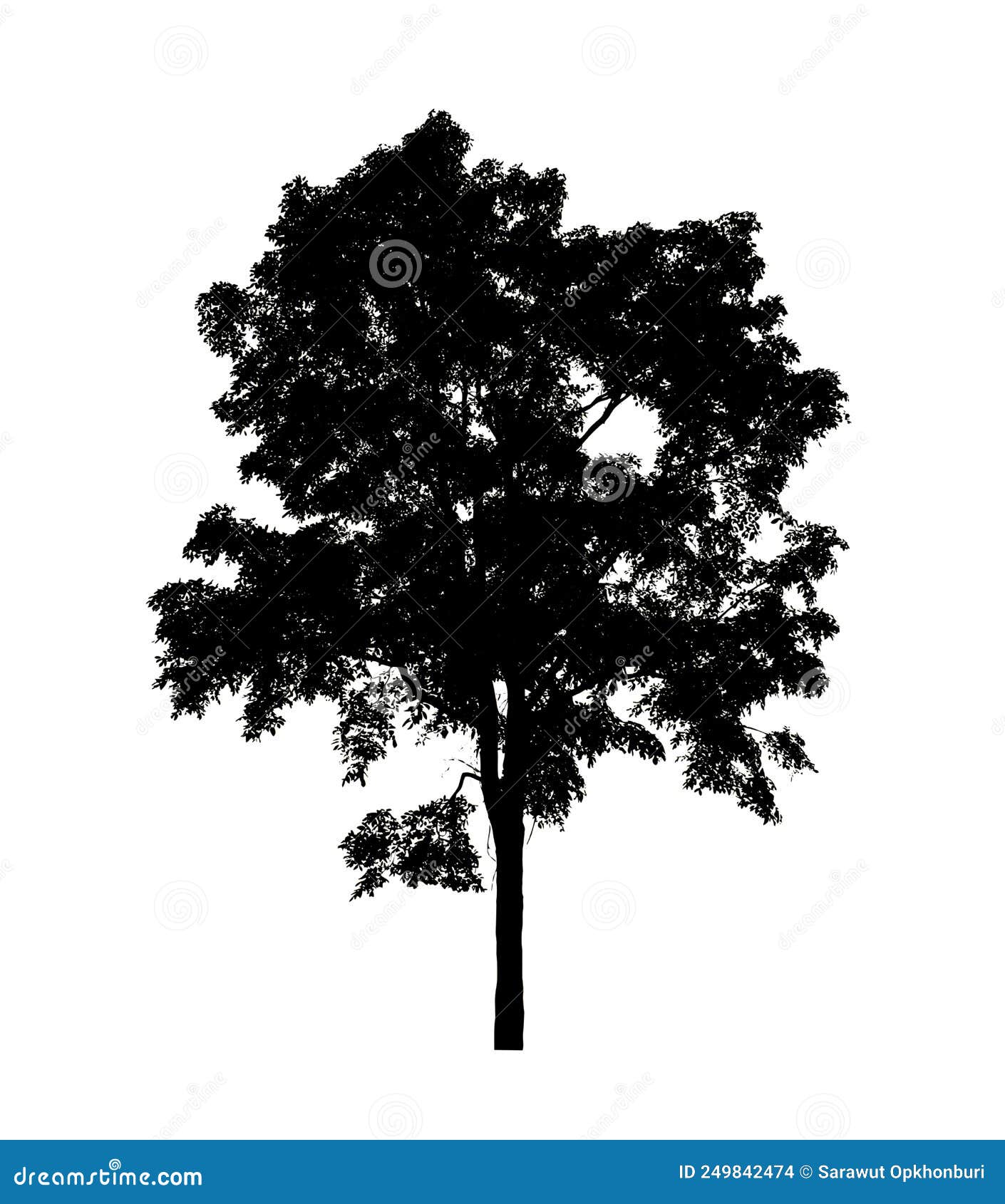 Tree Silhouettes Isolated on White Background . Stock Photo - Image of ...