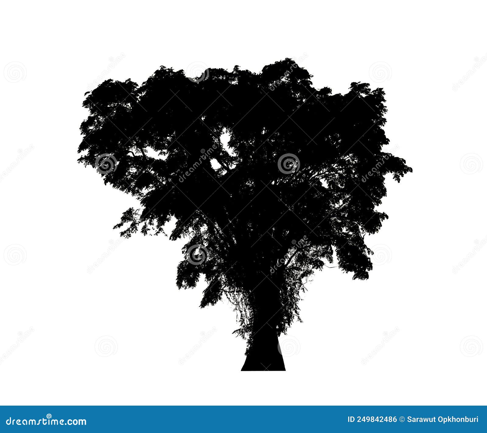 Tree Silhouettes Isolated on White Background . Stock Photo - Image of ...