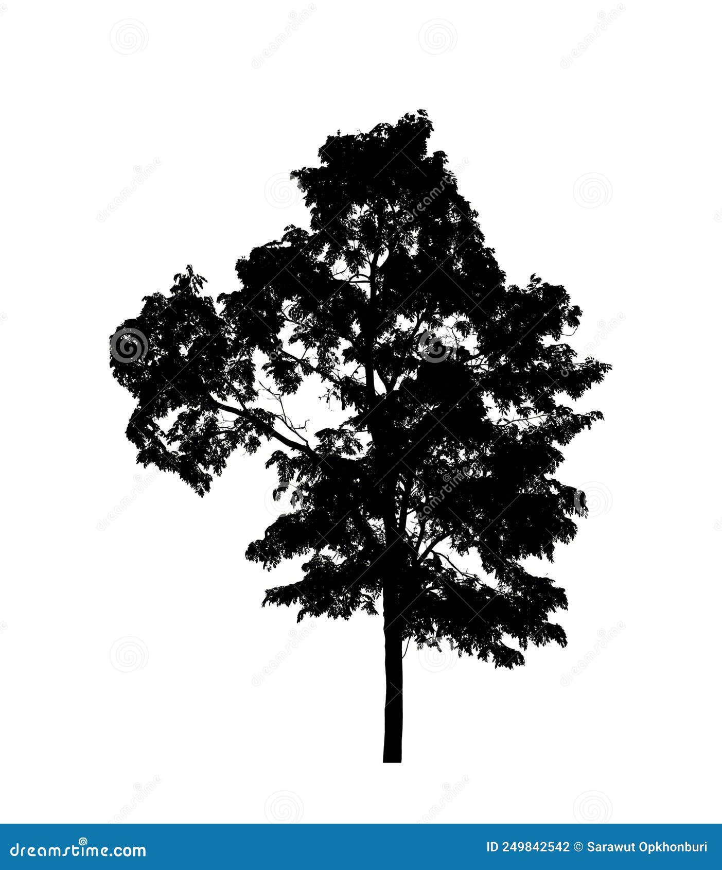 Tree Silhouettes Isolated on White Background . Stock Photo - Image of ...
