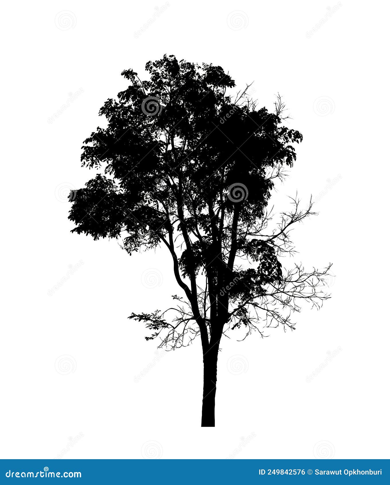 Tree Silhouettes Isolated on White Background . Stock Photo - Image of ...