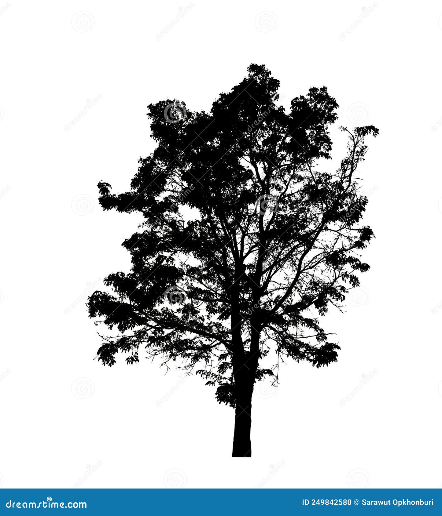 Tree Silhouettes Isolated on White Background . Stock Photo - Image of ...
