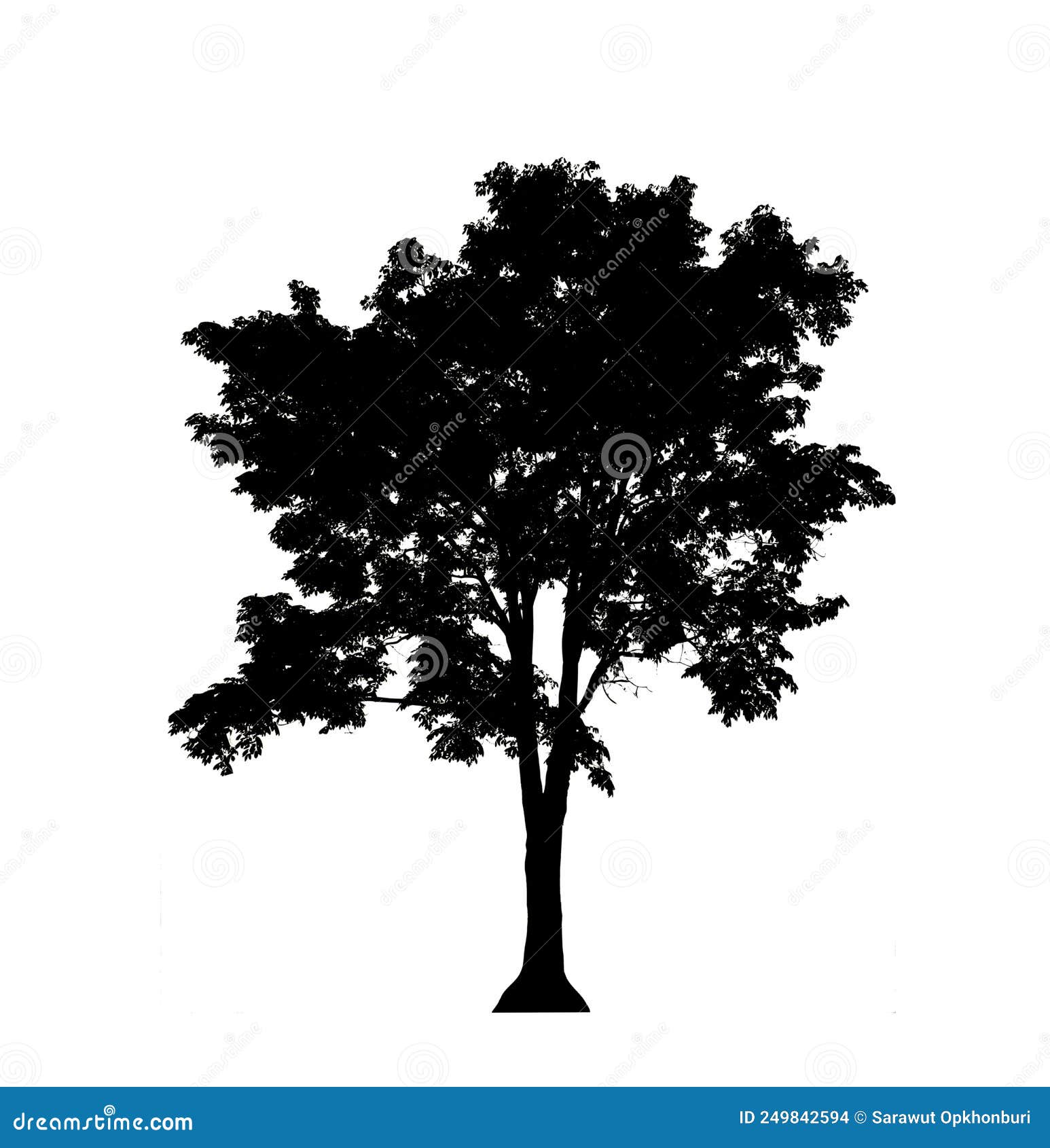 Tree Silhouettes Isolated on White Background . Stock Photo - Image of ...