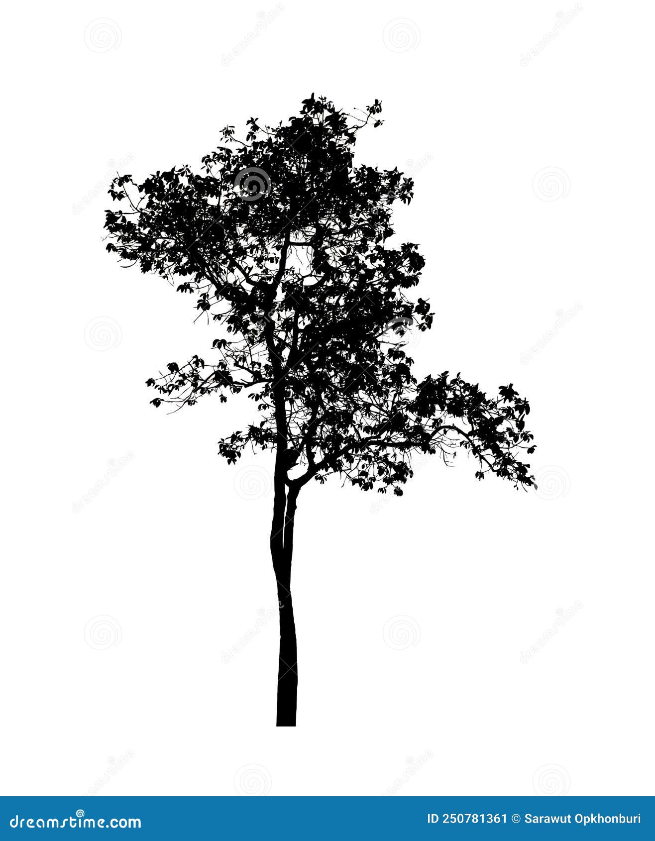 Tree Silhouettes Isolated on White Background . Stock Image - Image of ...