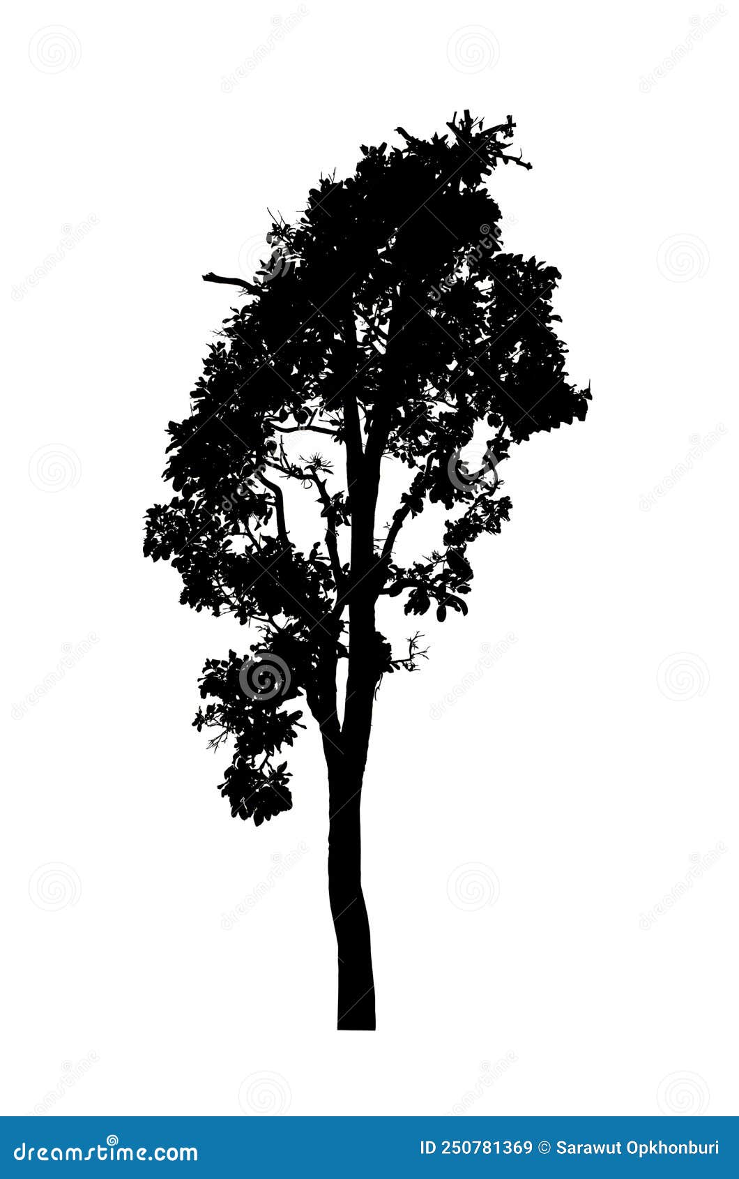 Tree Silhouettes Isolated on White Background . Stock Image - Image of ...