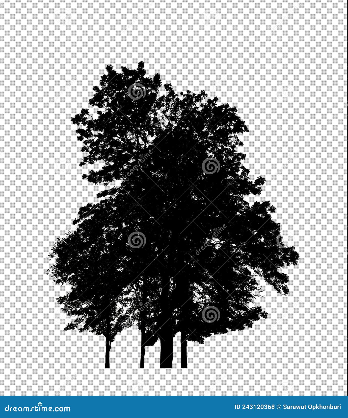 Tree Silhouettes Isolated on White Background . Stock Photo - Image of ...