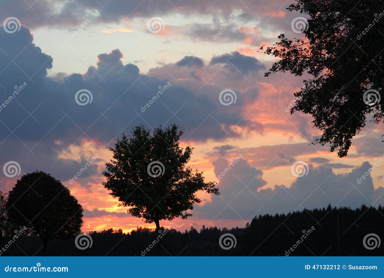 Tree Silhouettes and Scenic Sunset Sky Stock Photo - Image of colorful ...