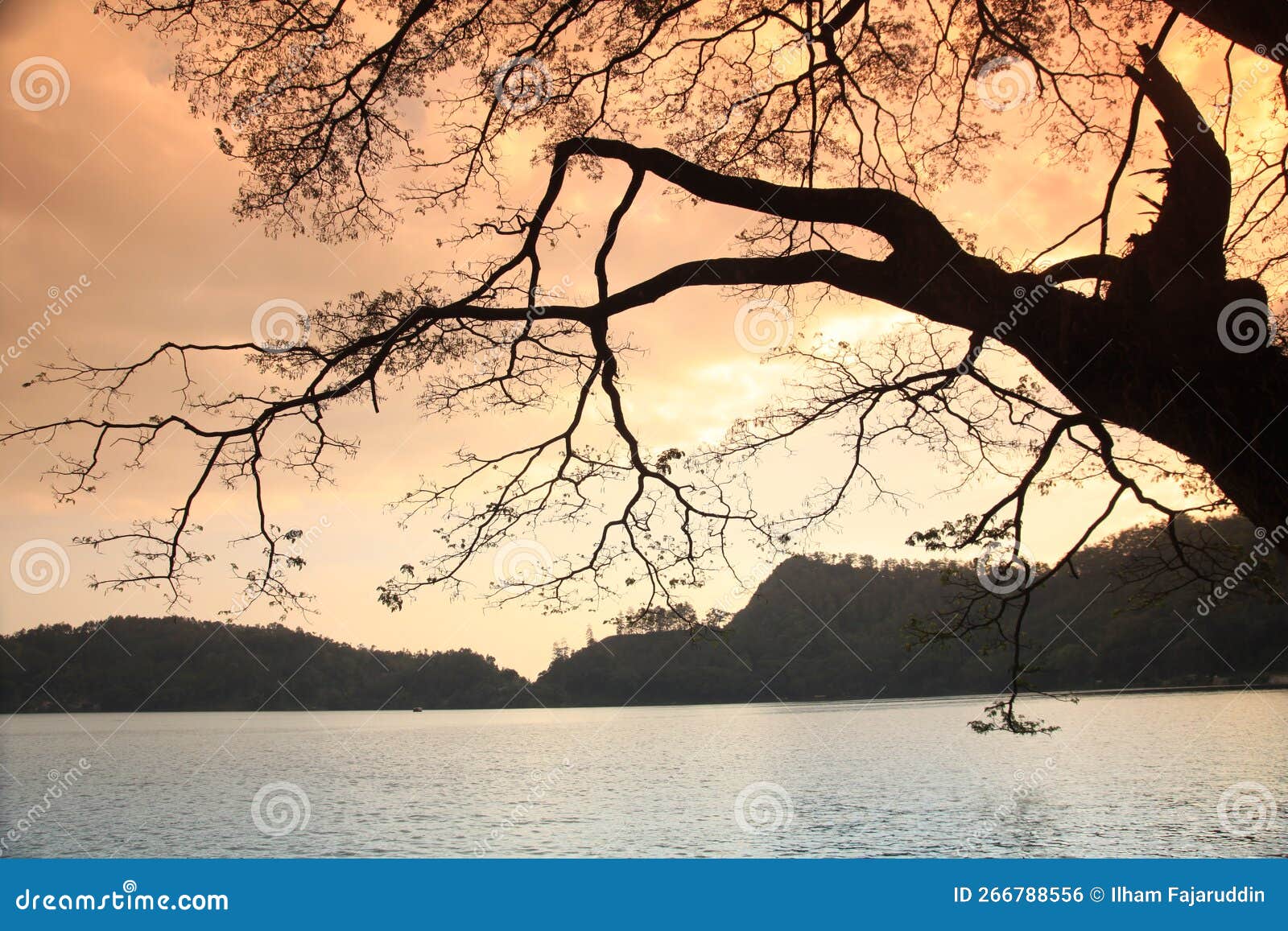 Tree Silhouettes at Sunset by the Lake, Ngebel, Ponorogo, Indonesia ...