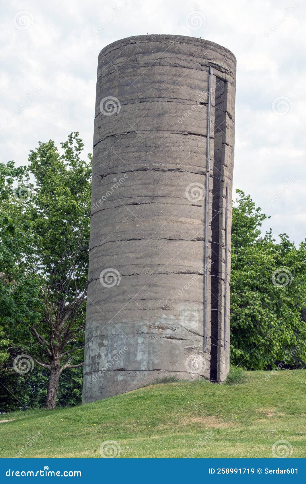 Tree and silo stock image. Image of industry, silo, architecture ...