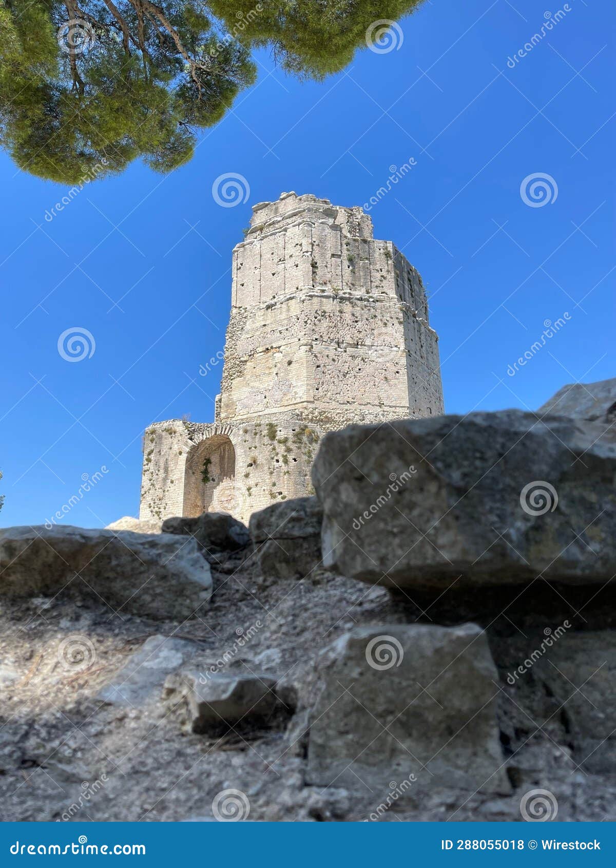 A Tree Sits in Front of an Old Tower that Has Been Built into the ...