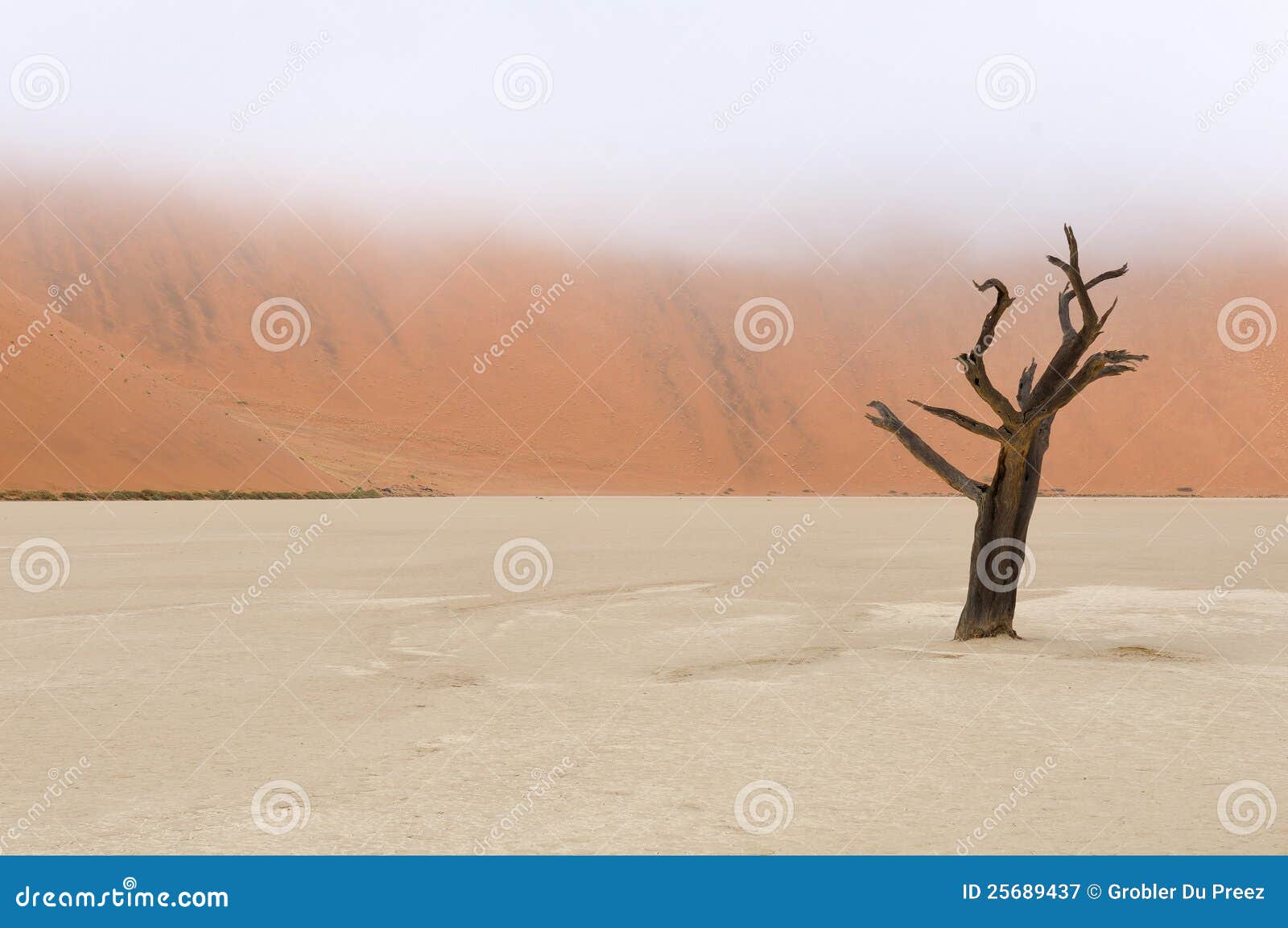 Tree Skeletons, Deadvlei, Namibia Stock Image - Image of sossusvlei ...