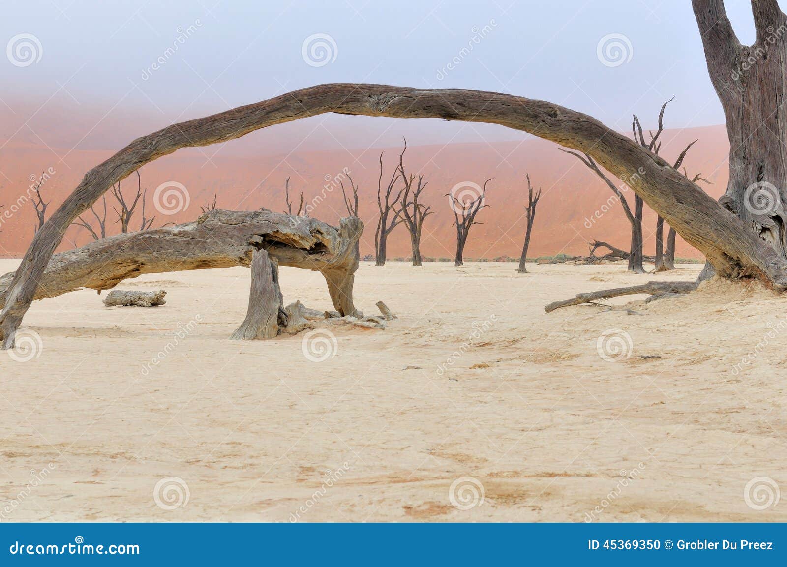 Tree Skeletons, Deadvlei, Namibia Stock Photo - Image of sand, flood ...