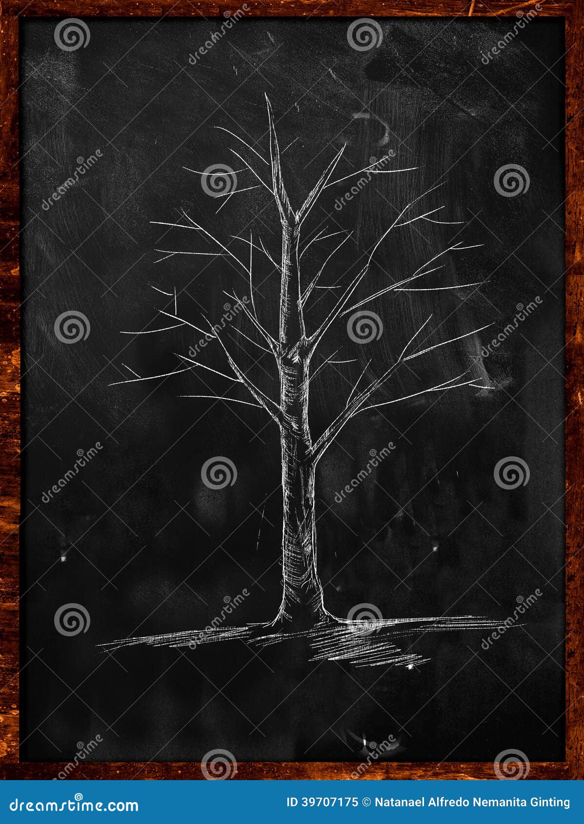 Tree Sketch without Leaves on Blackboard Stock Illustration ...