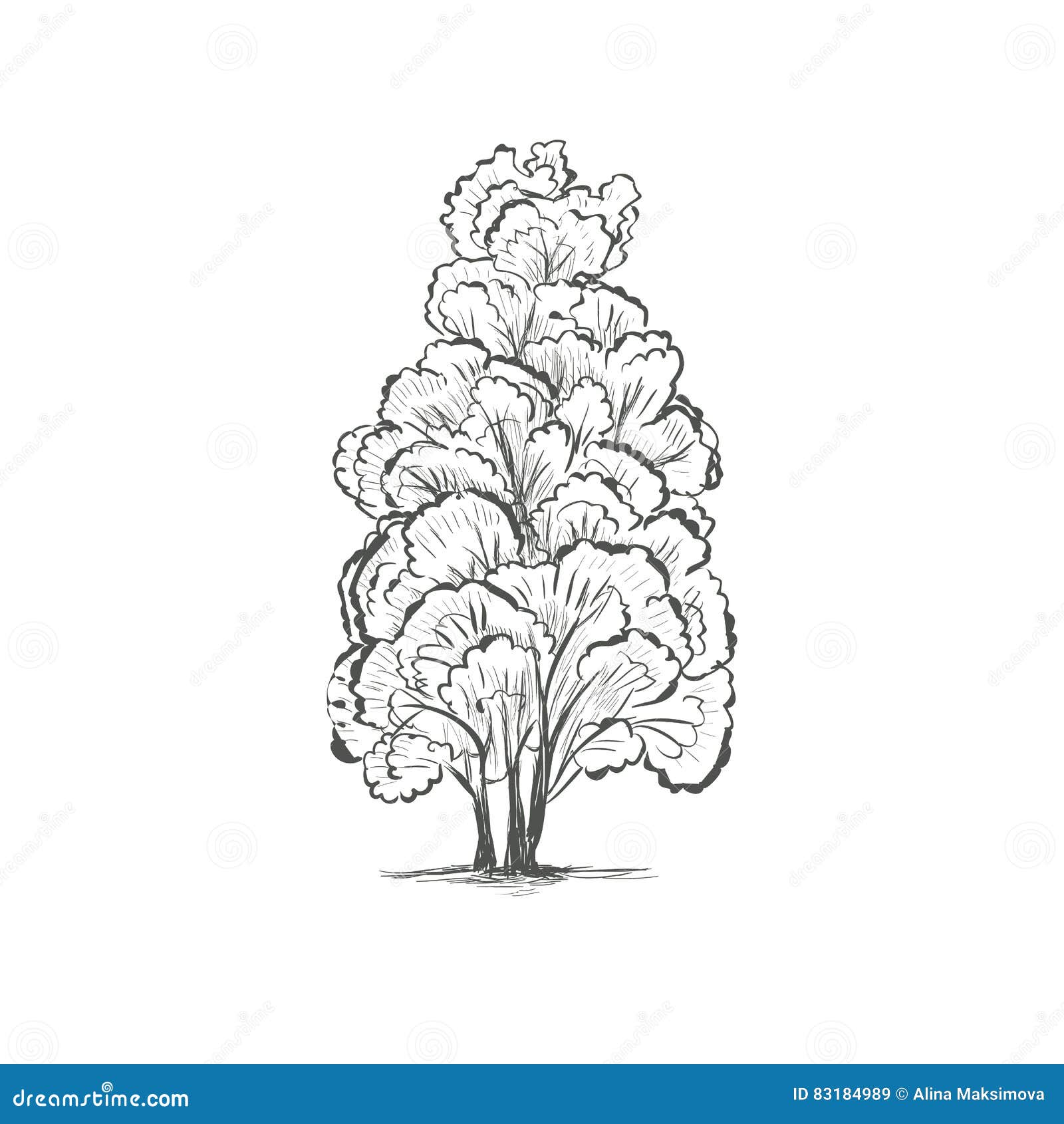 Tree Sketch. Silhouette of a Tree Stock Vector - Illustration of ...