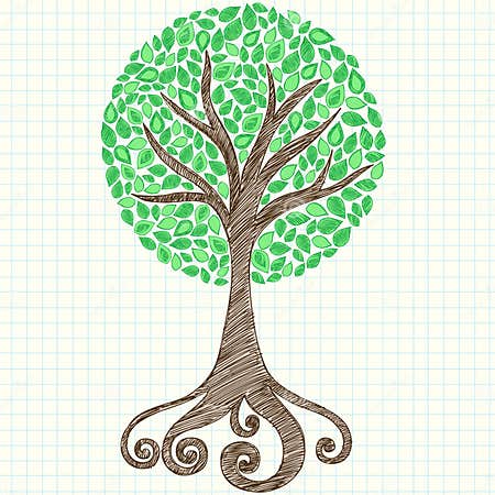 Tree Sketchy Notebook Doodle on Graph Paper Stock Vector - Illustration ...