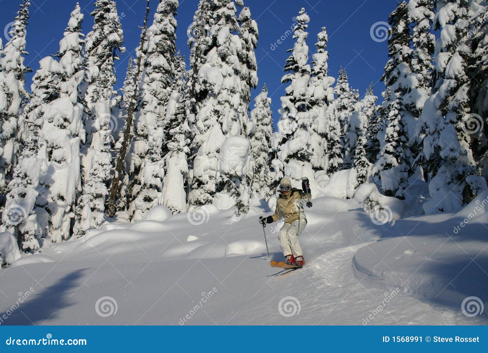 Tree Skiing stock image. Image of outdoors, last, skis - 1568991
