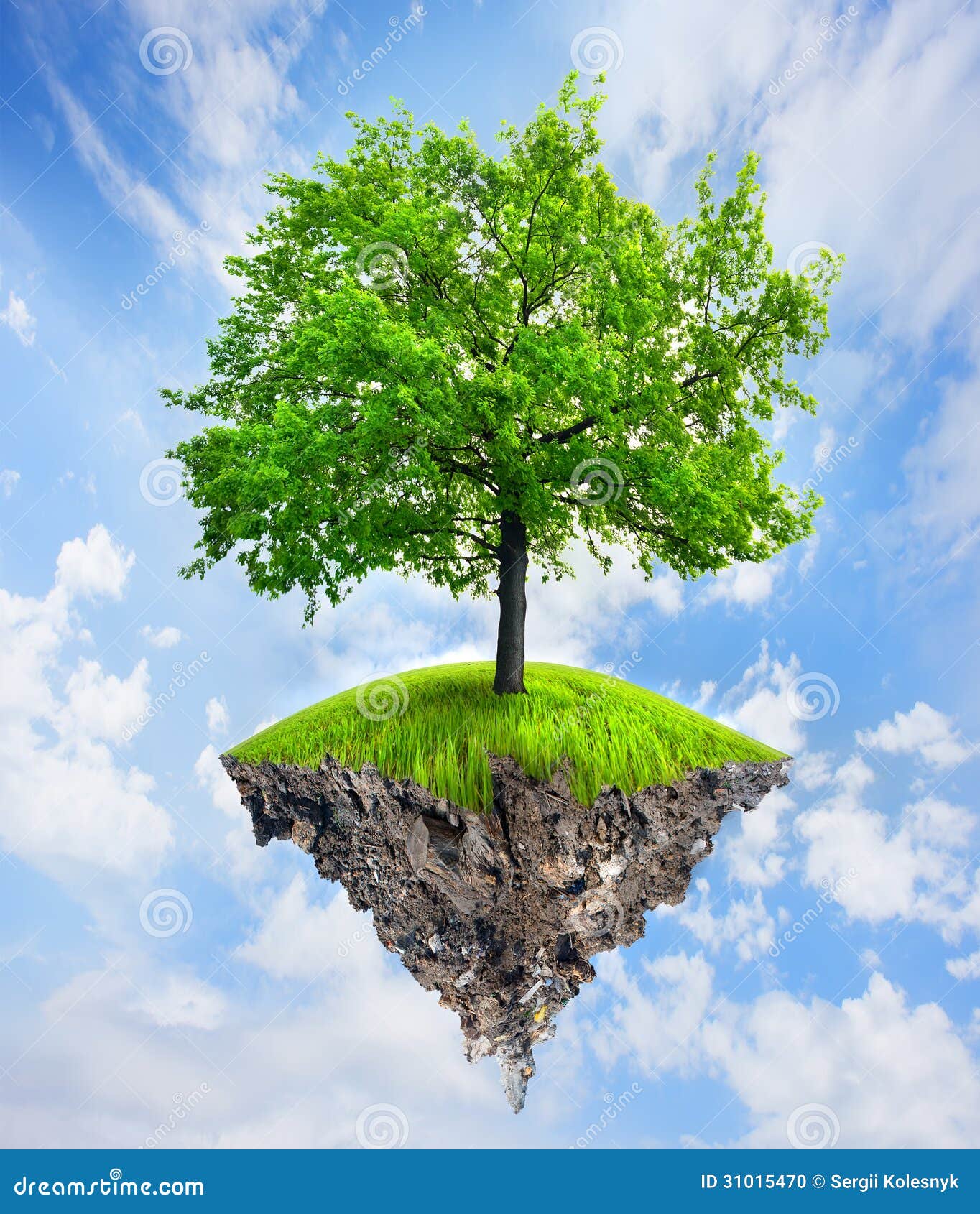 Tree in the sky stock photo. Image of blue, global, clear - 31015470