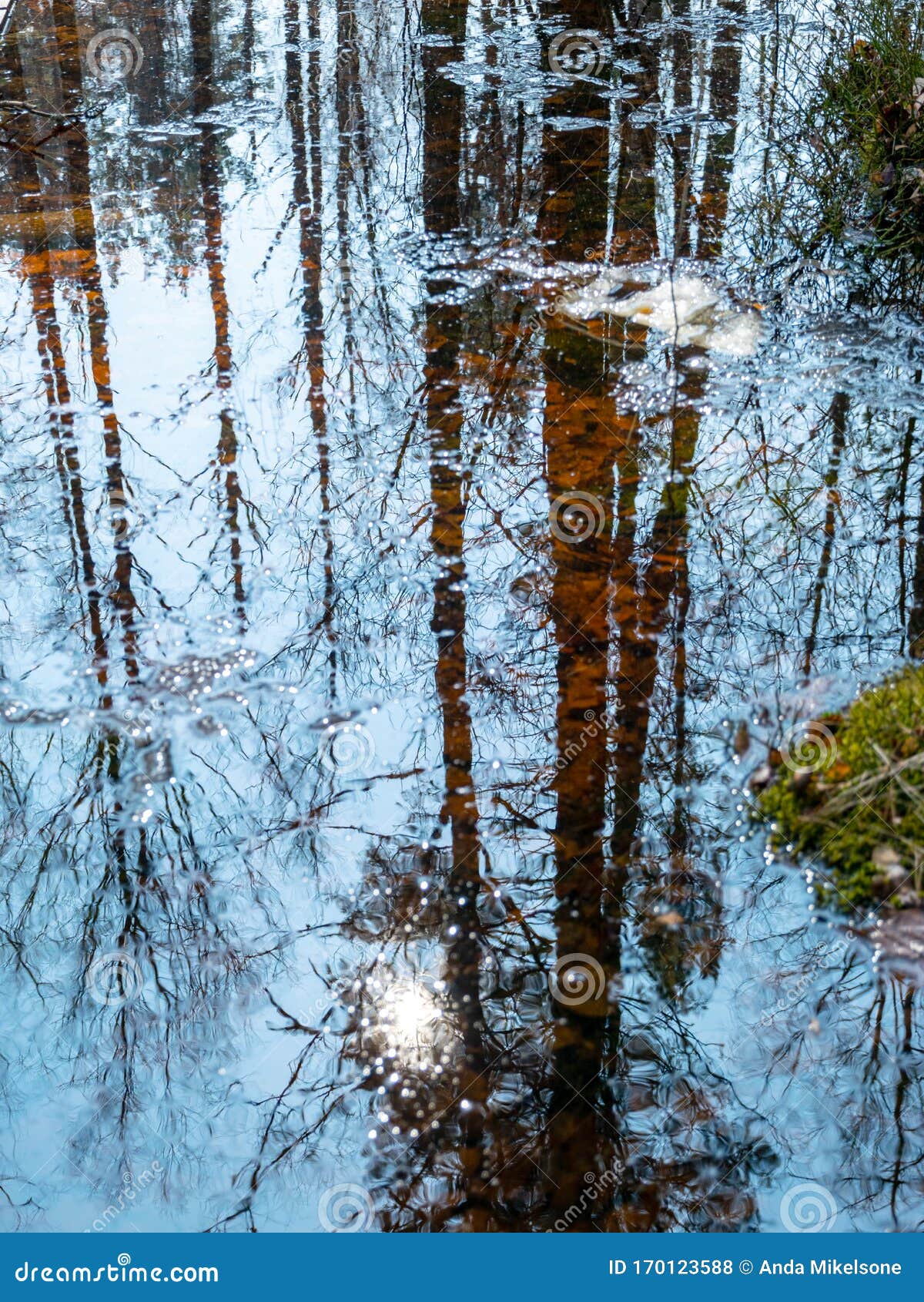 Tree and Sky Reflections in Water, Fuzzy Texture, Wallpaper Stock Photo ...