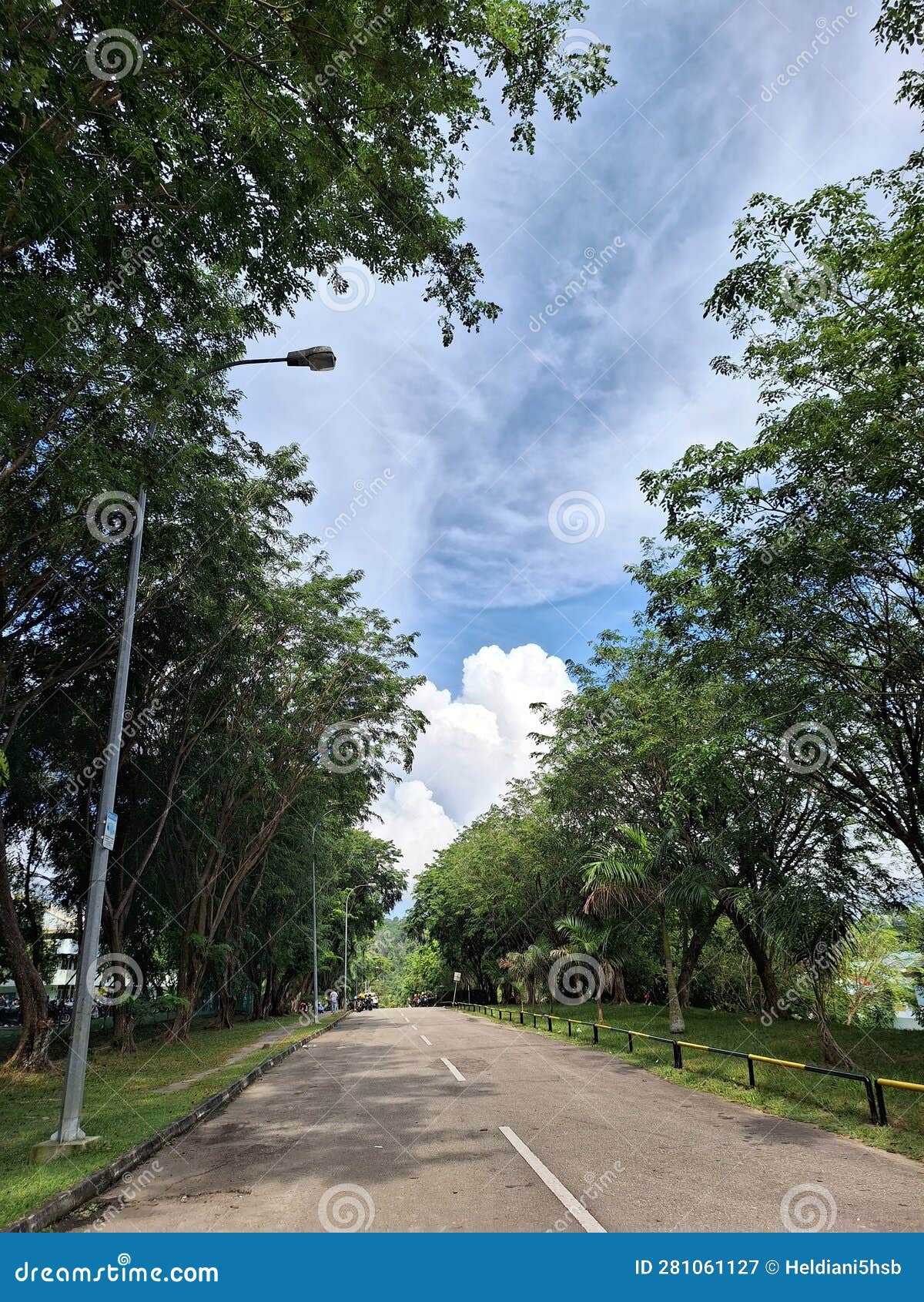 Tree Sky Street Morning Beautiful Stock Image - Image of tree ...