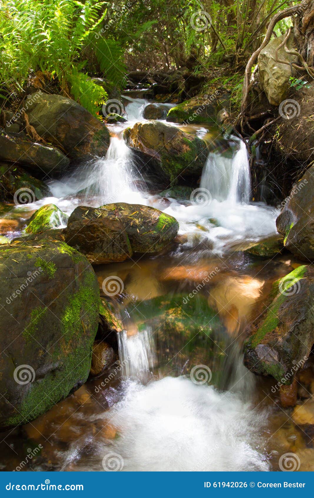 Small Waterfalls And Streams From Sheer Cliffs On The Way To Fiordland ...
