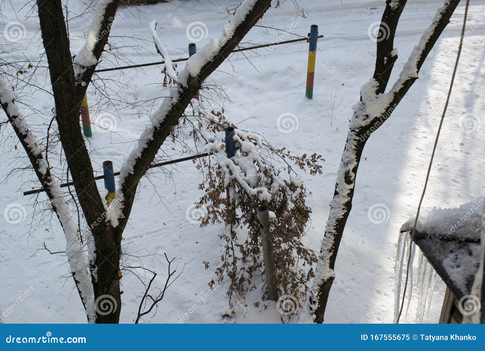 A Tree Smashed from Snowfall in the City. the Branch Fell from the ...