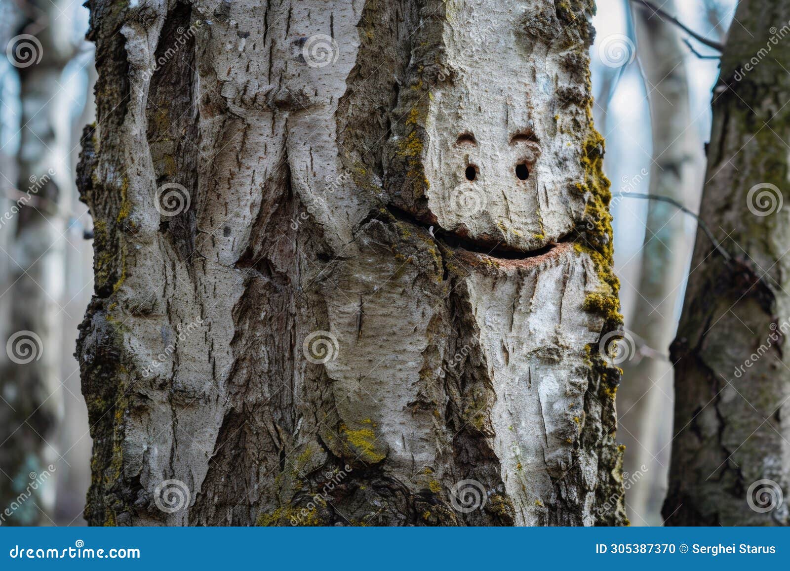 A Tree with a Smile Painted on it S Face in the Woods, AI Stock Photo ...