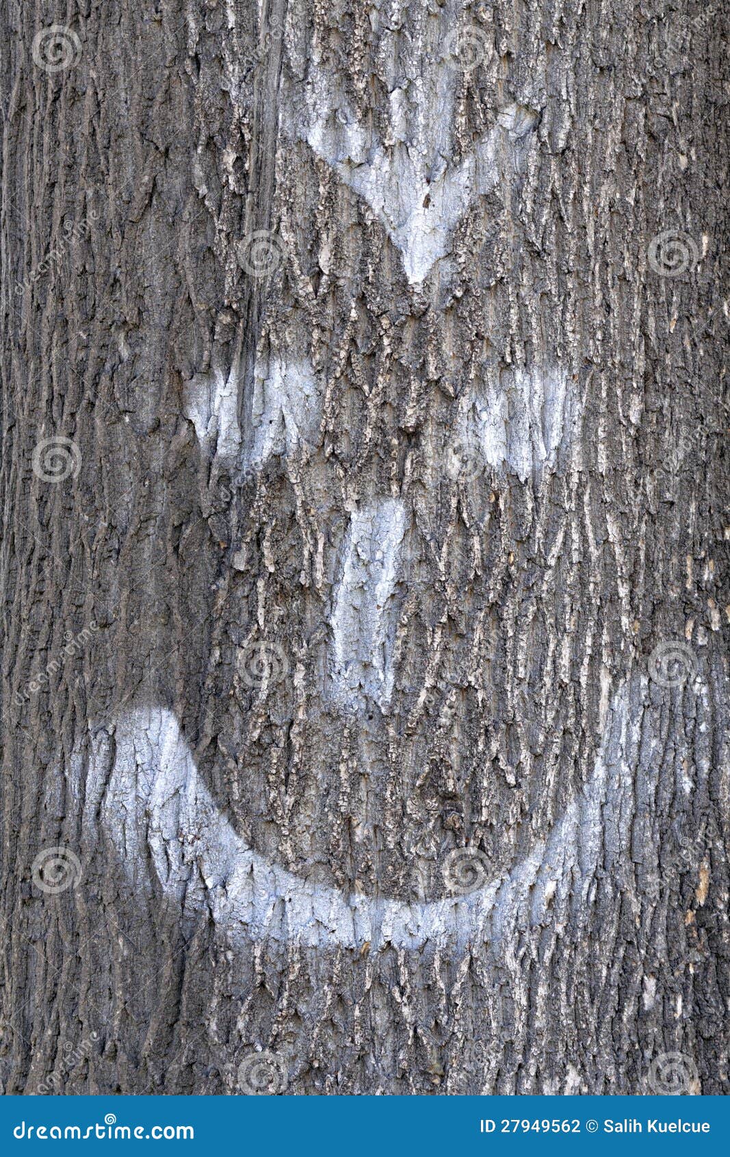 Tree with smiling stock photo. Image of paint, bark, brown - 27949562