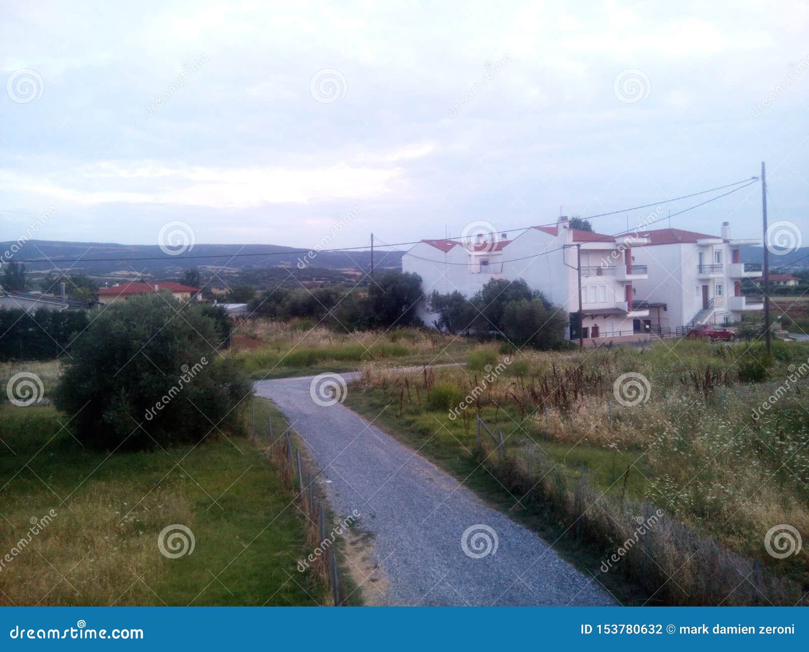 Tree snapping at day time stock photo. Image of snap - 153780632