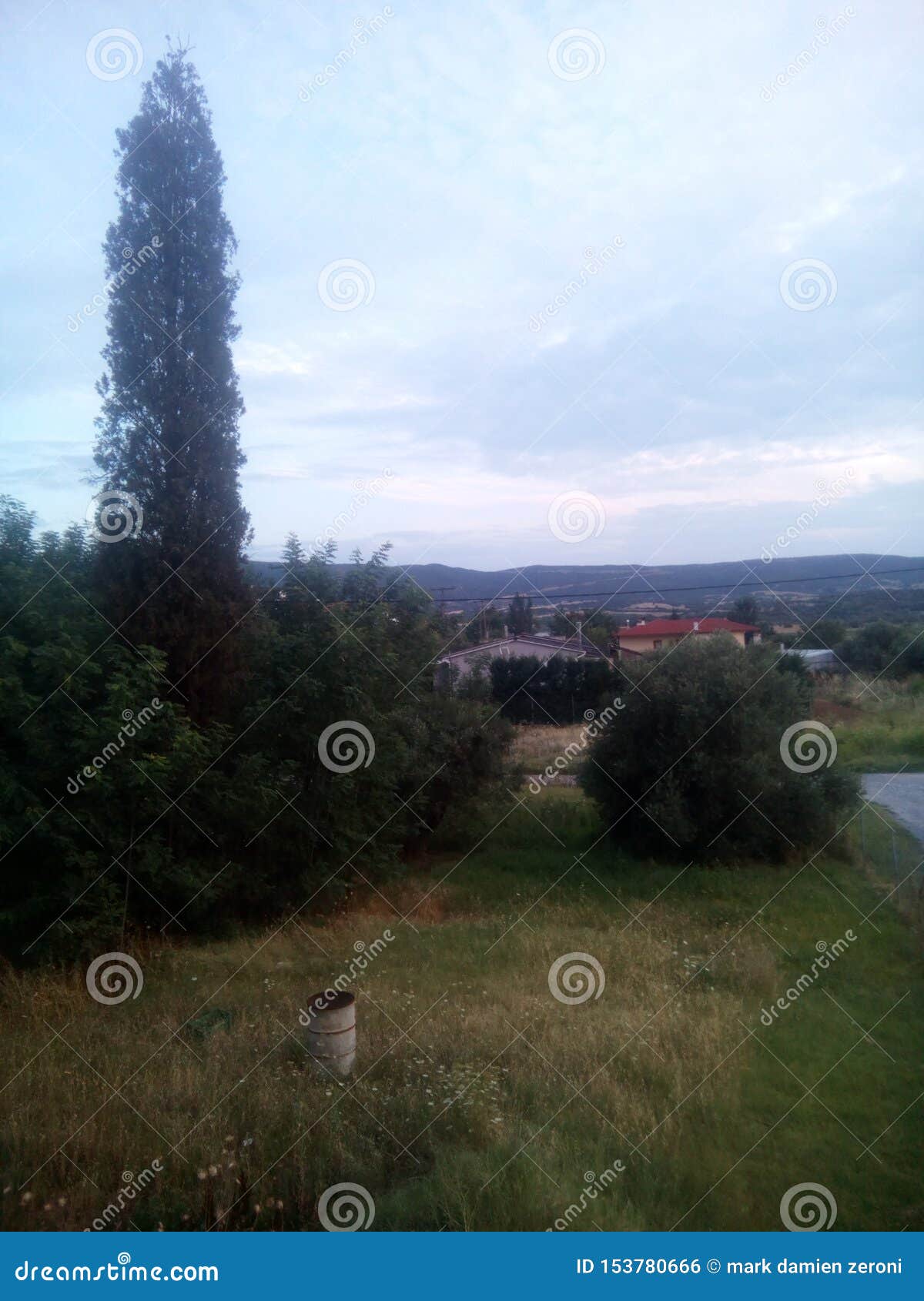 Tree snapping at day time stock photo. Image of time - 153780666