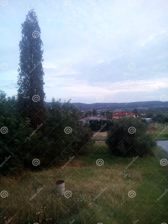 Tree snapping at day time stock photo. Image of time - 153780666