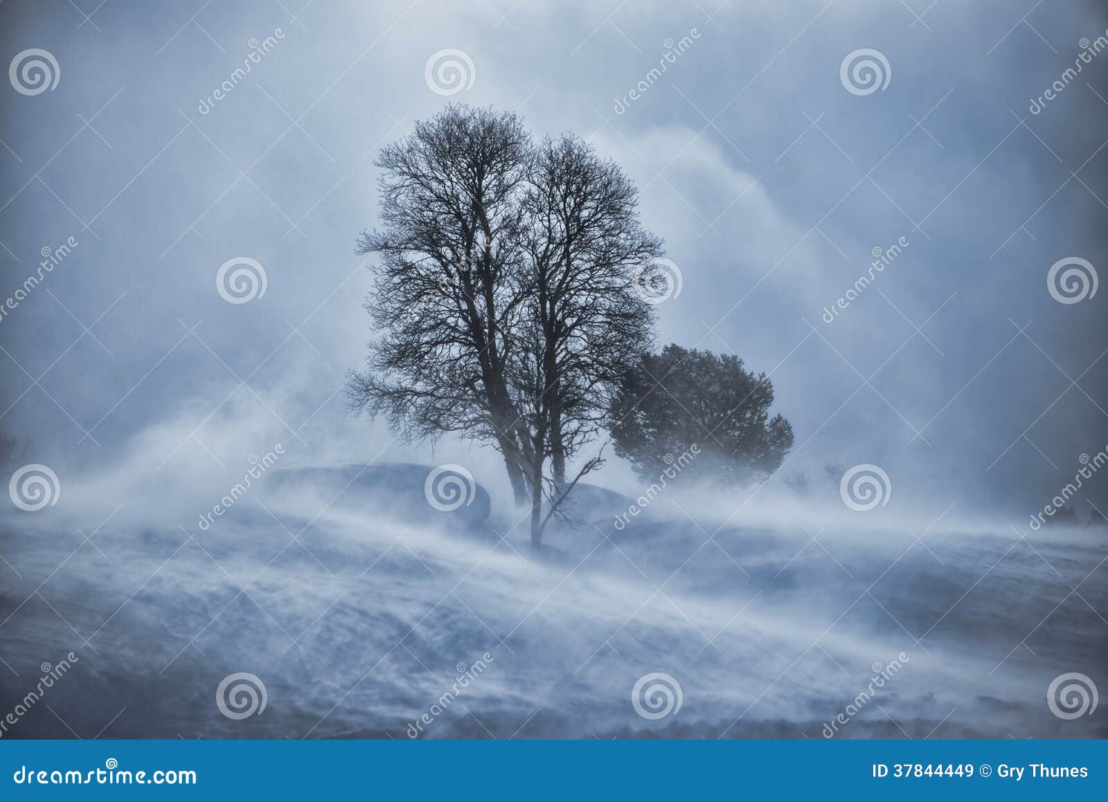 Wind Snow Pattern Background Stock Photography | CartoonDealer.com ...