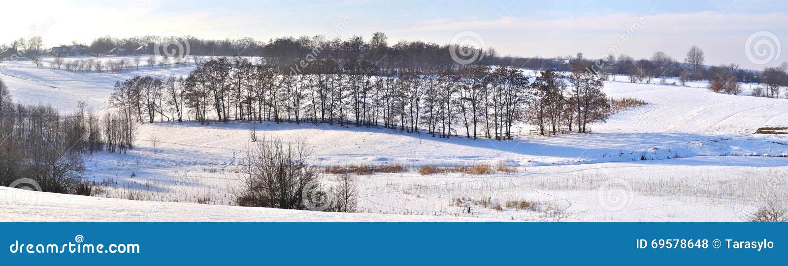 Tree on the snow field stock photo. Image of nature, scene - 69578648