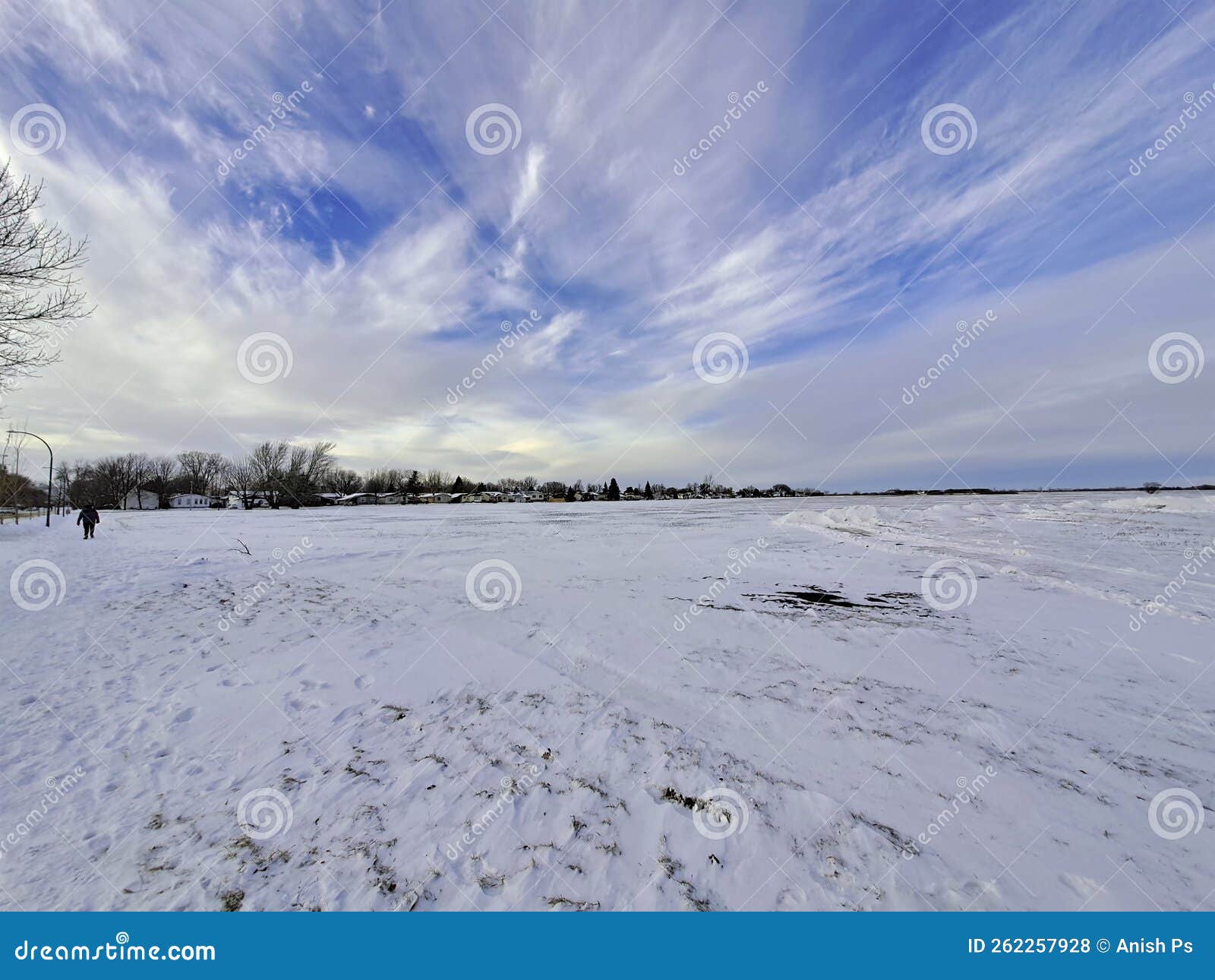 Tree in the Snow , View from Manitoba . Winter Landscape with Snow ...