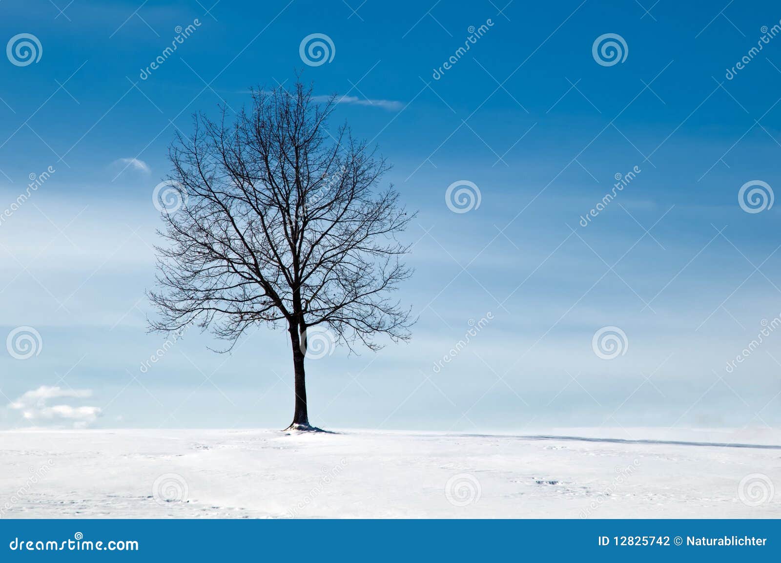 Snowy Field With Tractor Tracks, Seasonal Agriculture Background ...
