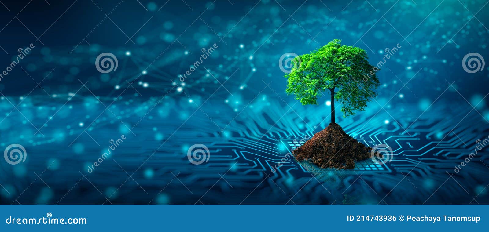 Green Computing, Green Technology, Green it, Csr, and it Ethics Concept ...