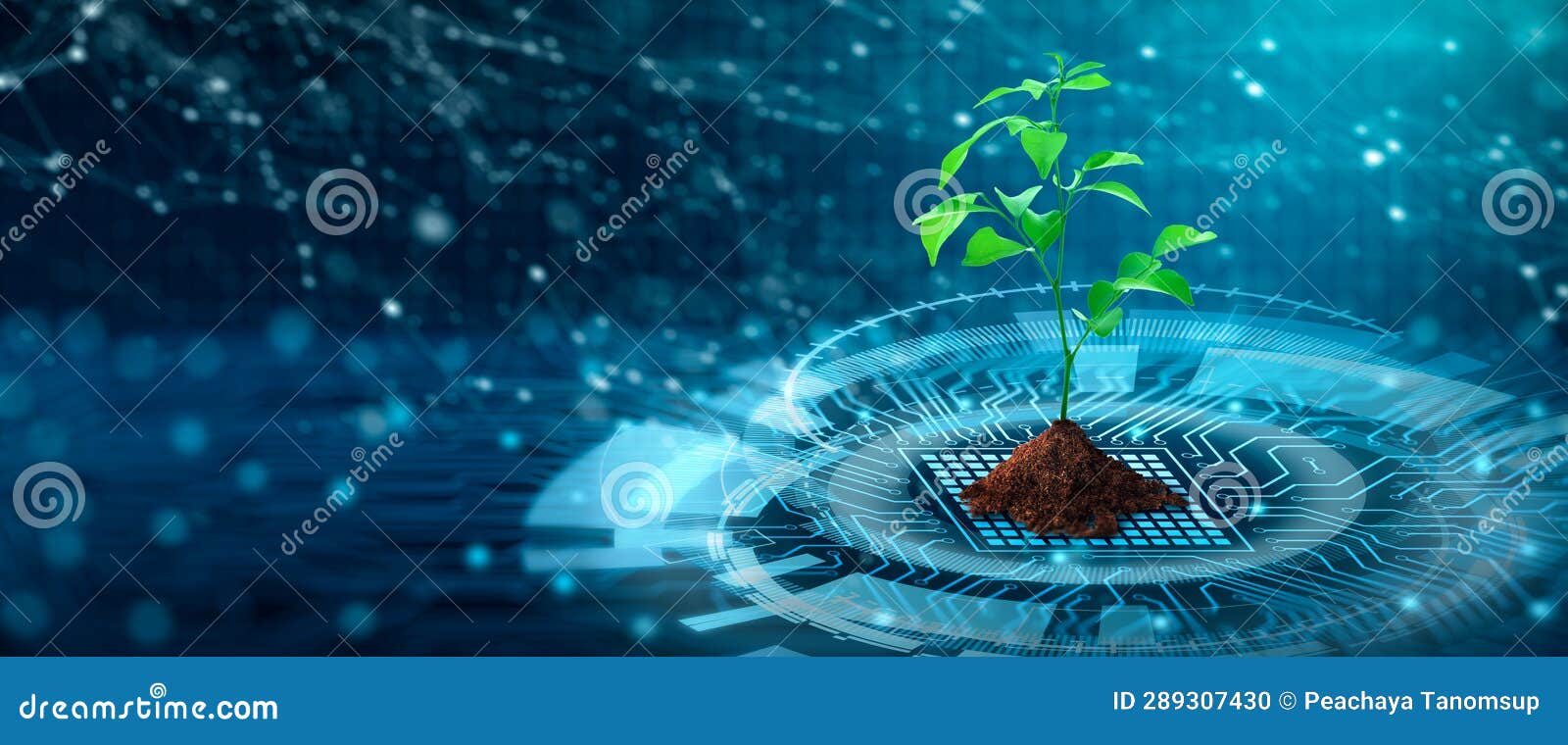 Green Computing, Green Technology, Green it, Csr, and it Ethics Concept ...