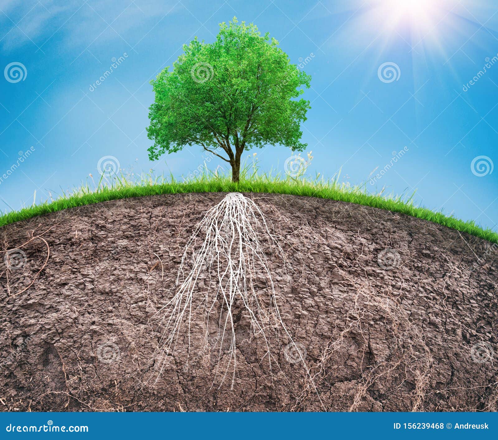 A Tree and Soil with Roots and Grass Stock Illustration - Illustration ...