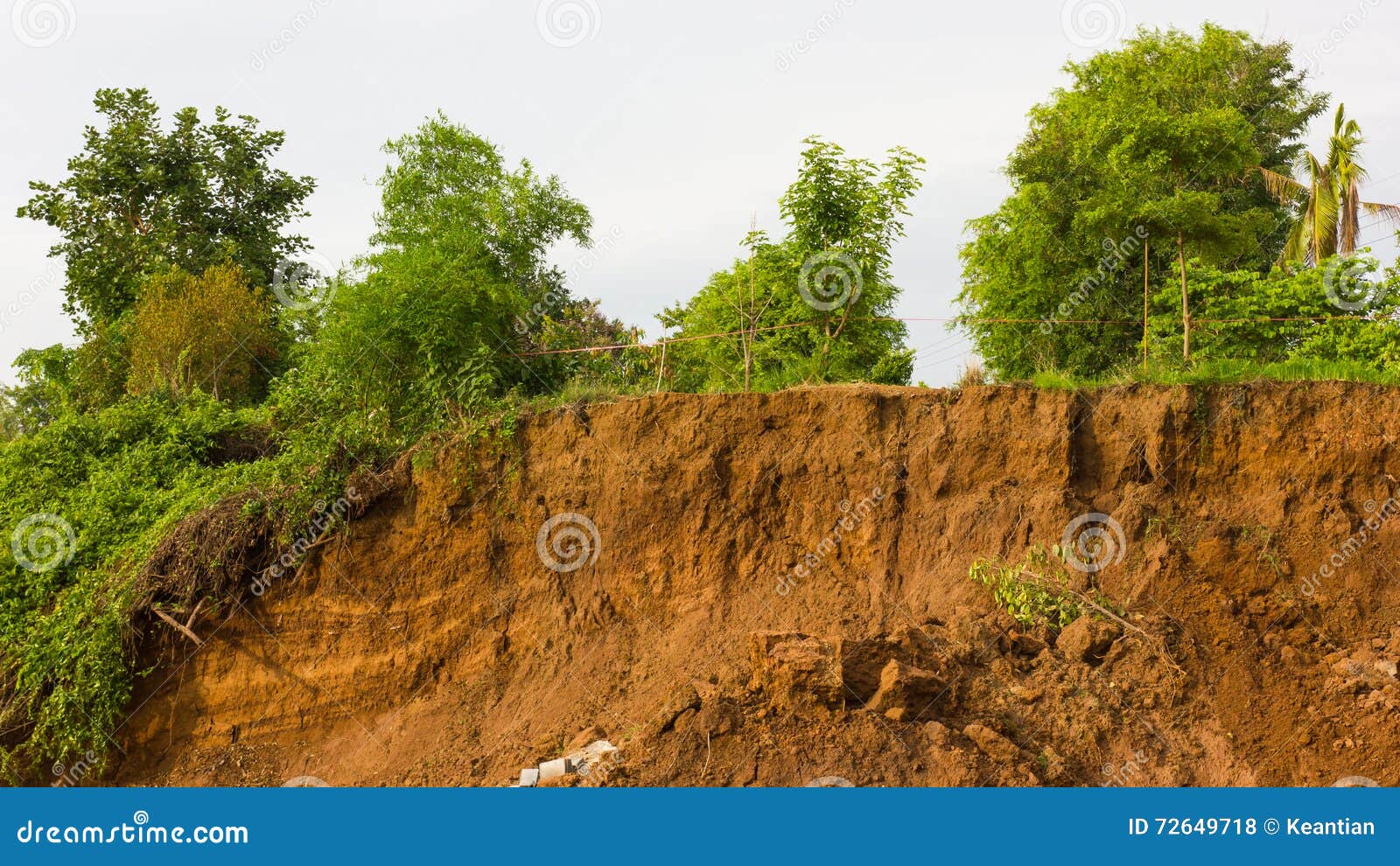 Tree with soil slides. stock photo. Image of fertile - 72649718