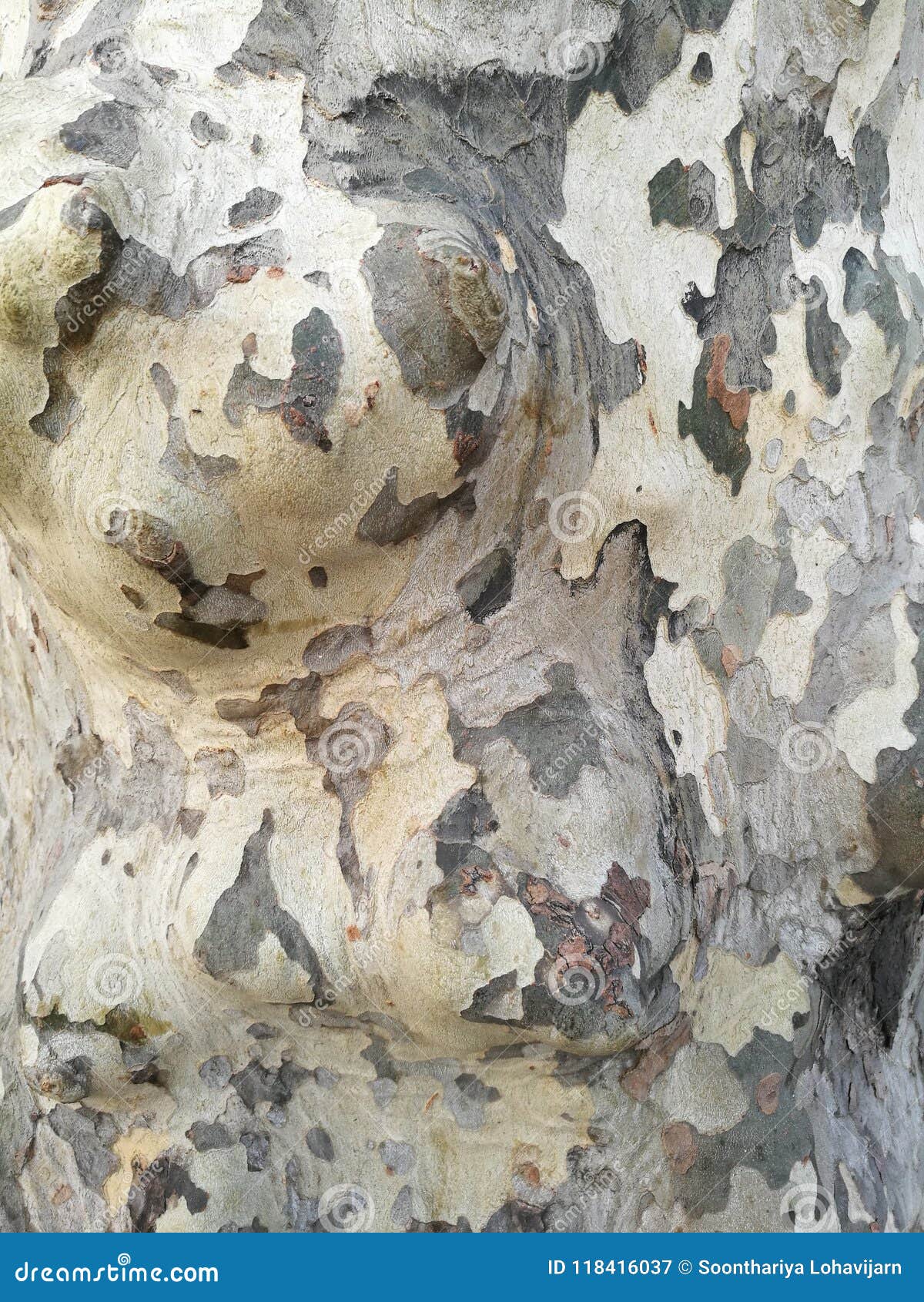 Tree soldier pattern stock image. Image of soldier, background - 118416037