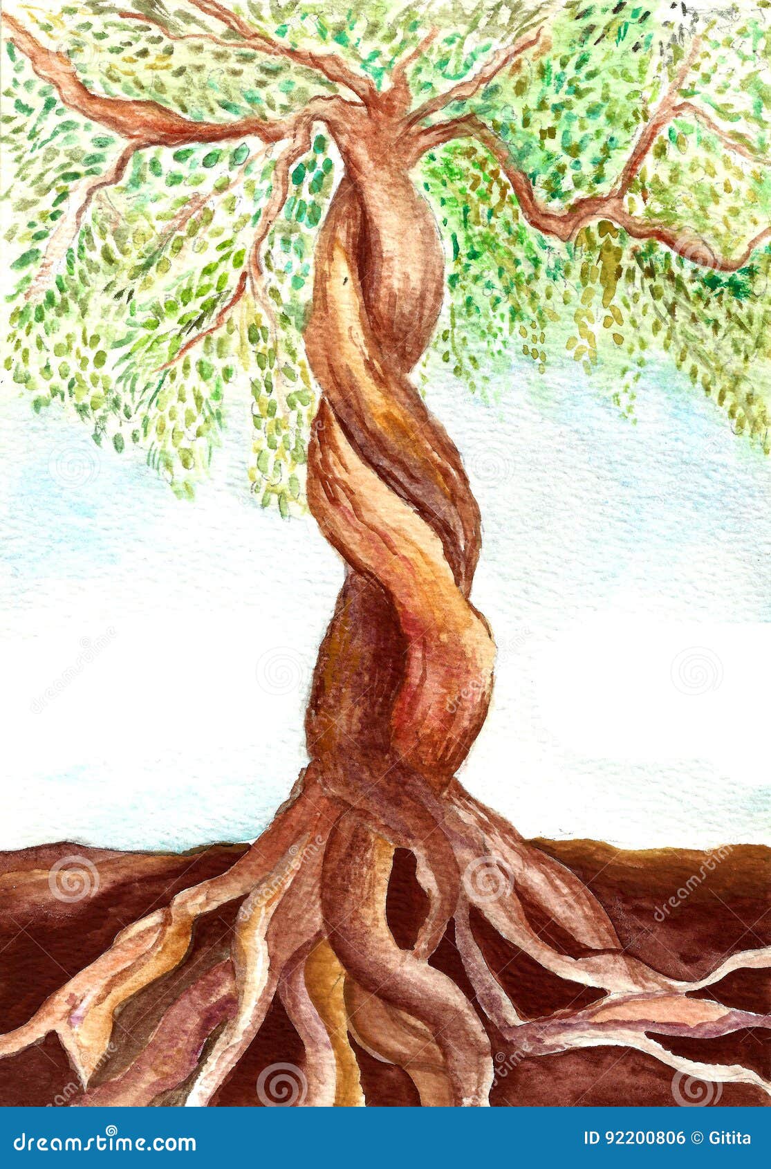 Tree Roots Drawing Color Artistic Exploration Of Roots In Vivid Colors