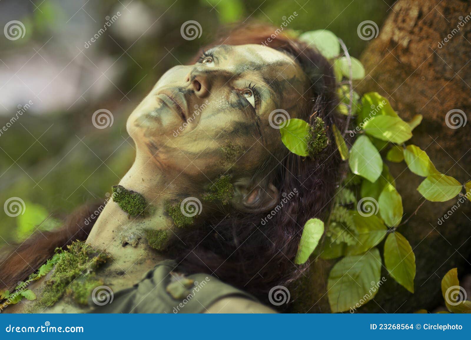 Tree soul stock photo. Image of forest, eastern, dreams - 23268564