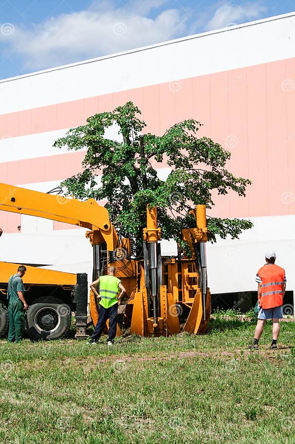 Tree spade planting tree editorial photo. Image of loader - 270516741